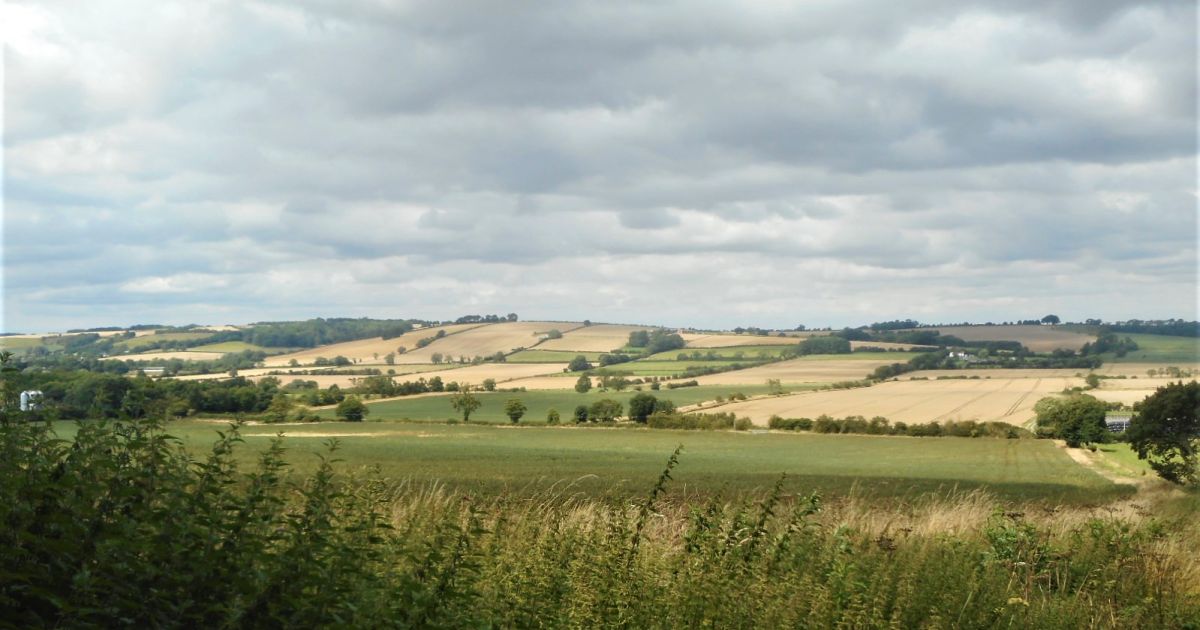 Brinkhill - Ramblers