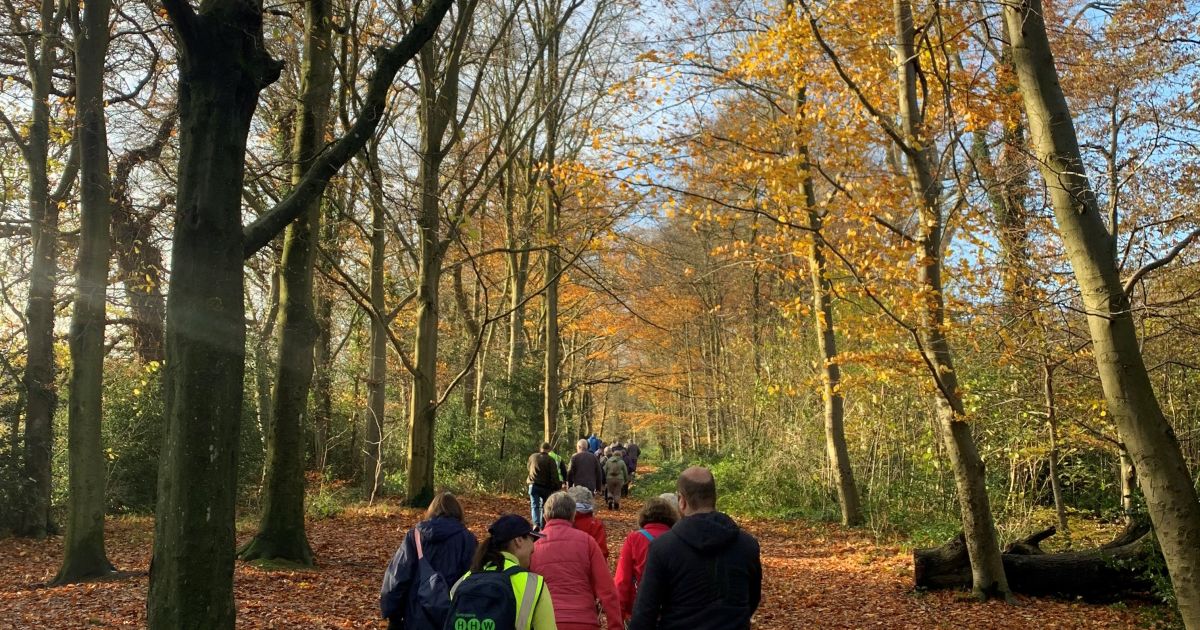 Panshanger Park - Grade 3