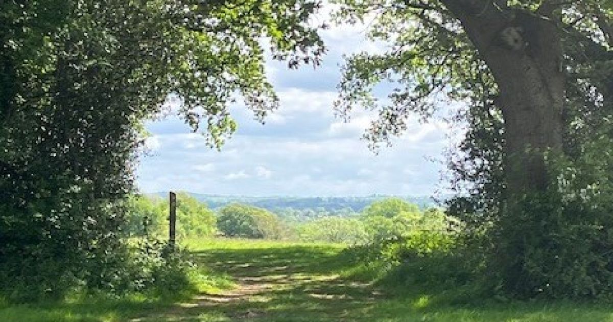 Walk High Weald Landscape Trail - section 3. East Grinstead to ...