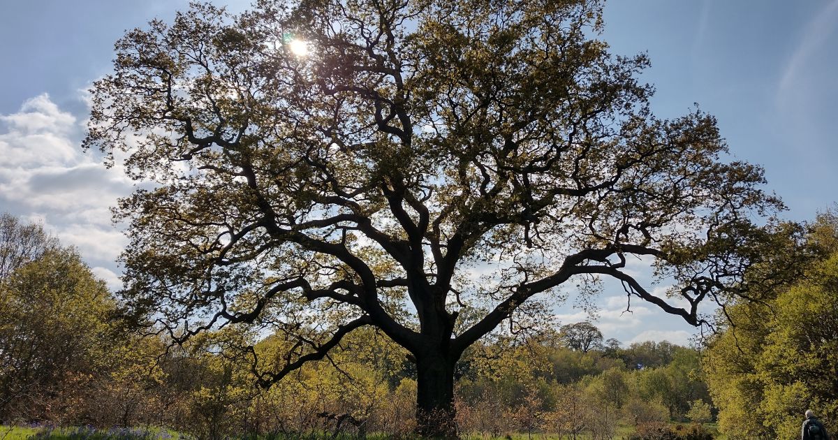 Car Free Walk from Kettering - Ramblers