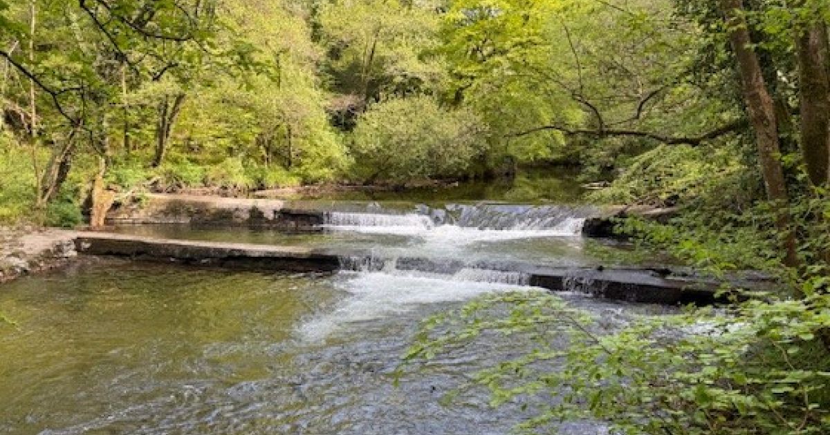 DUNMERE AND PENHARGARD CIRCULAR - Bookings Required - all welcome ...