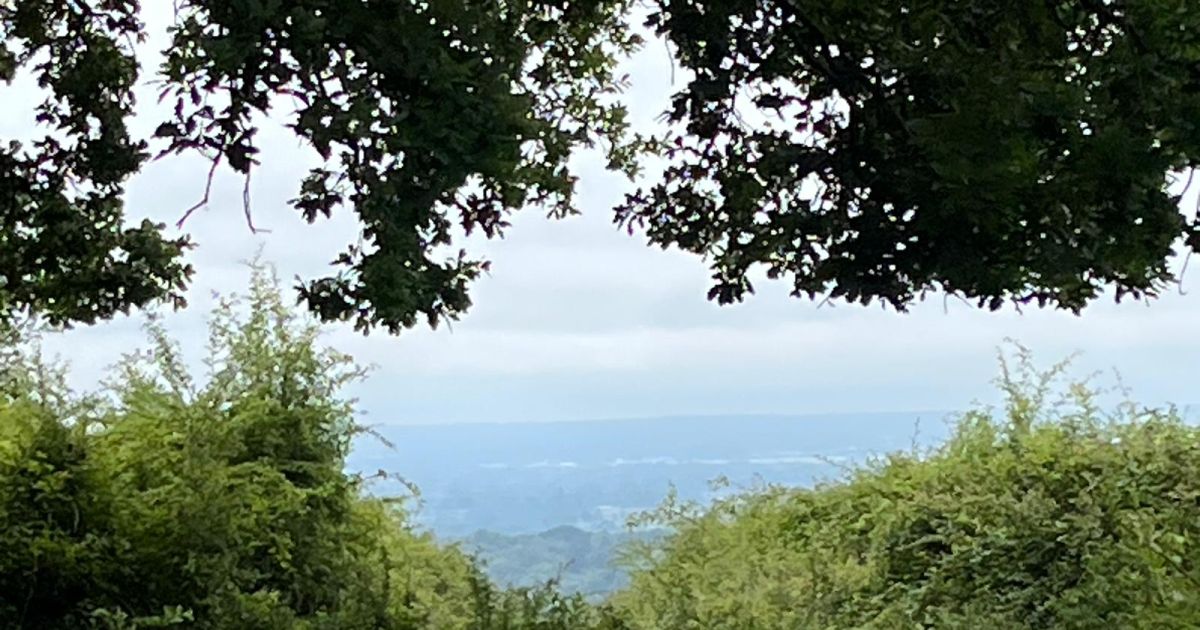 Banstead Heath and Colley Hill - a short social walk - Ramblers