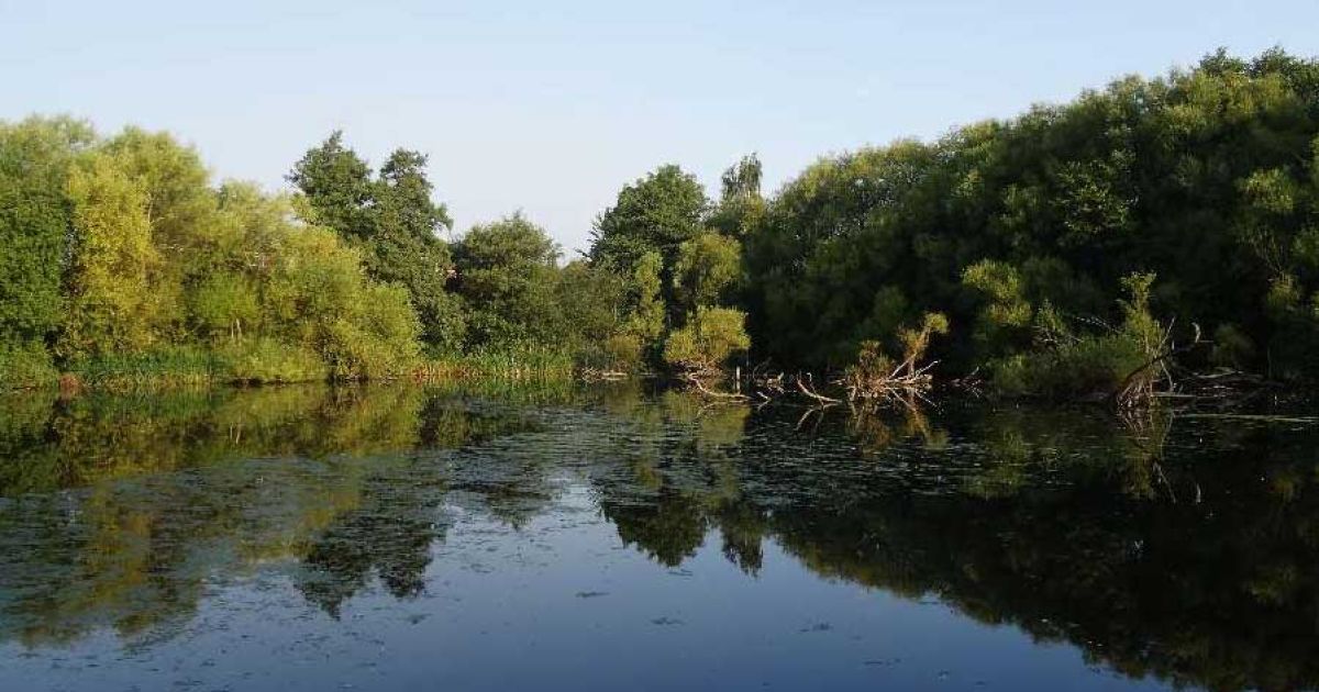 Short Walk: Plantsbrook Nature Reserve - Ramblers