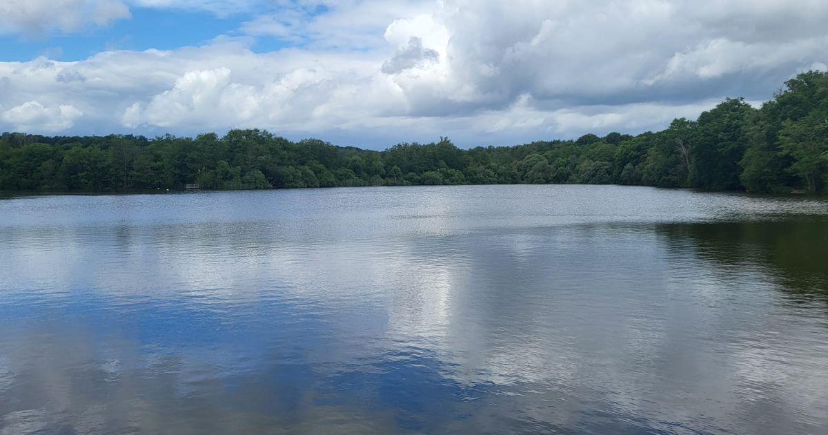 Balcombe Ardingly Circular - Ramblers