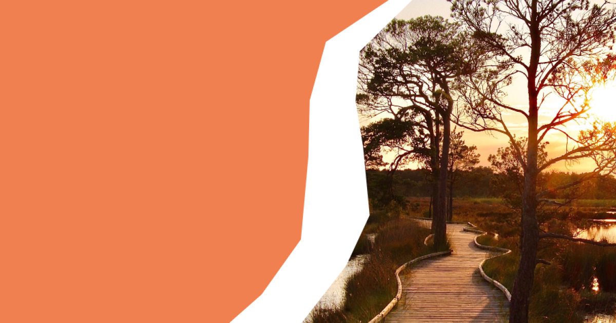 The Ramblers: Britain’s walking charity