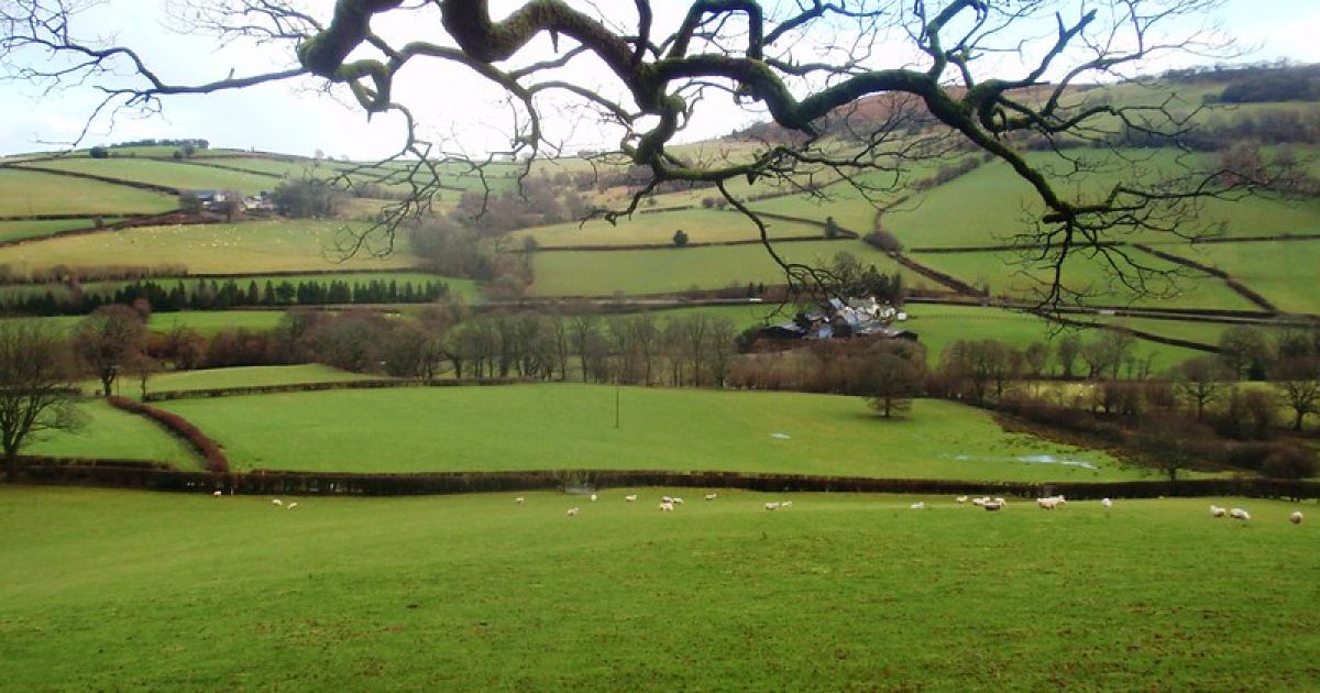 Defynnog circular - Ramblers