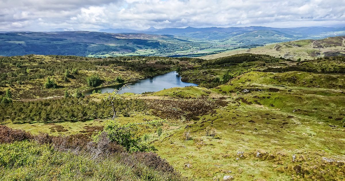 Loch Ordie And Deuchary Hill Loop - Ramblers