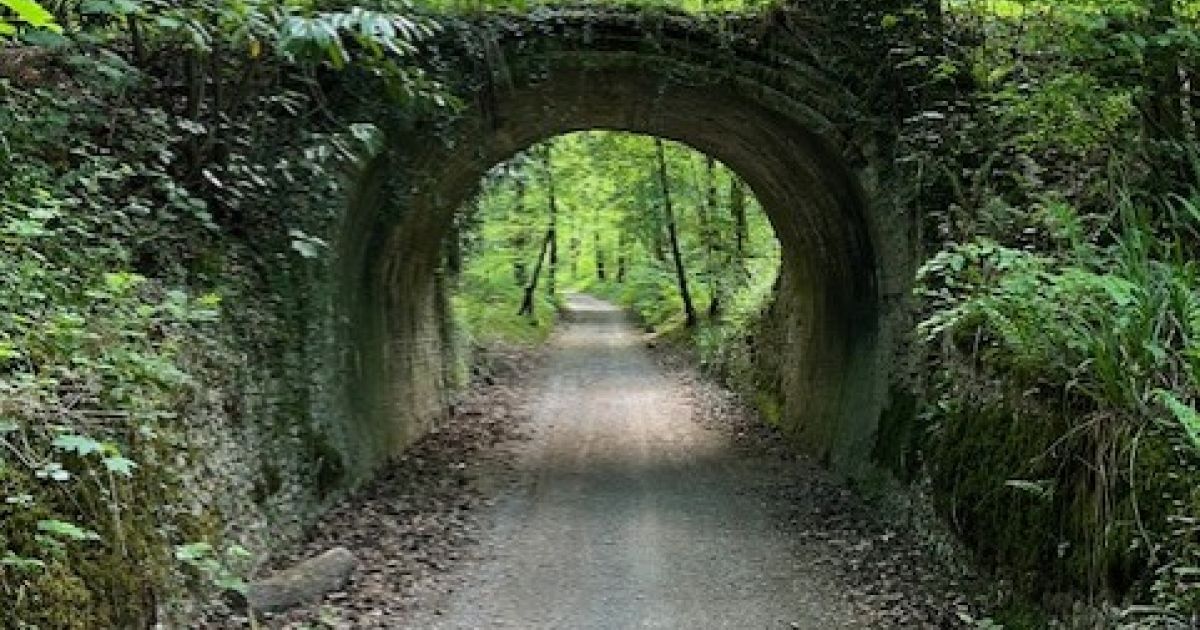 Effingham Forest, White Downs and Netley Heath - 9.7 miles (bring lunch ...