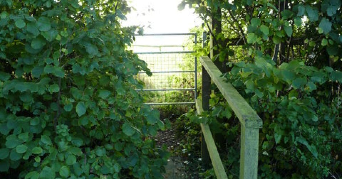 Morton Stanley Park and Feckenham (Redditch, Worcestershire) - Ramblers