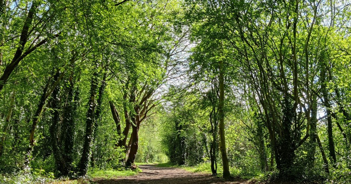 Levenshulme to Stockport linear - Ramblers