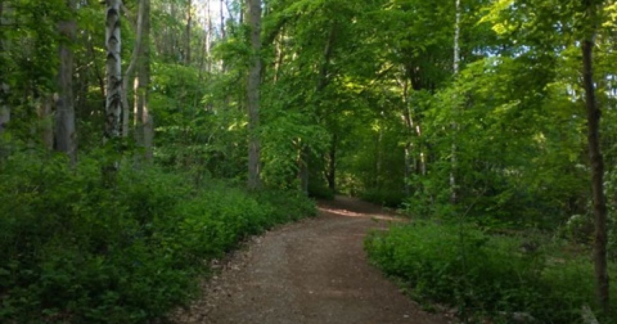 Ticknall, Carvers Rocks and Tramway Trail - Ramblers