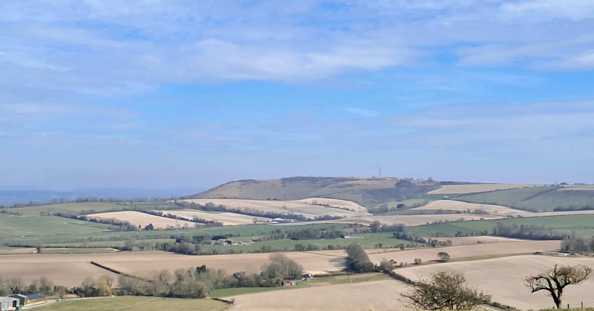 11 miles East Meon and Butser Hill - Ramblers