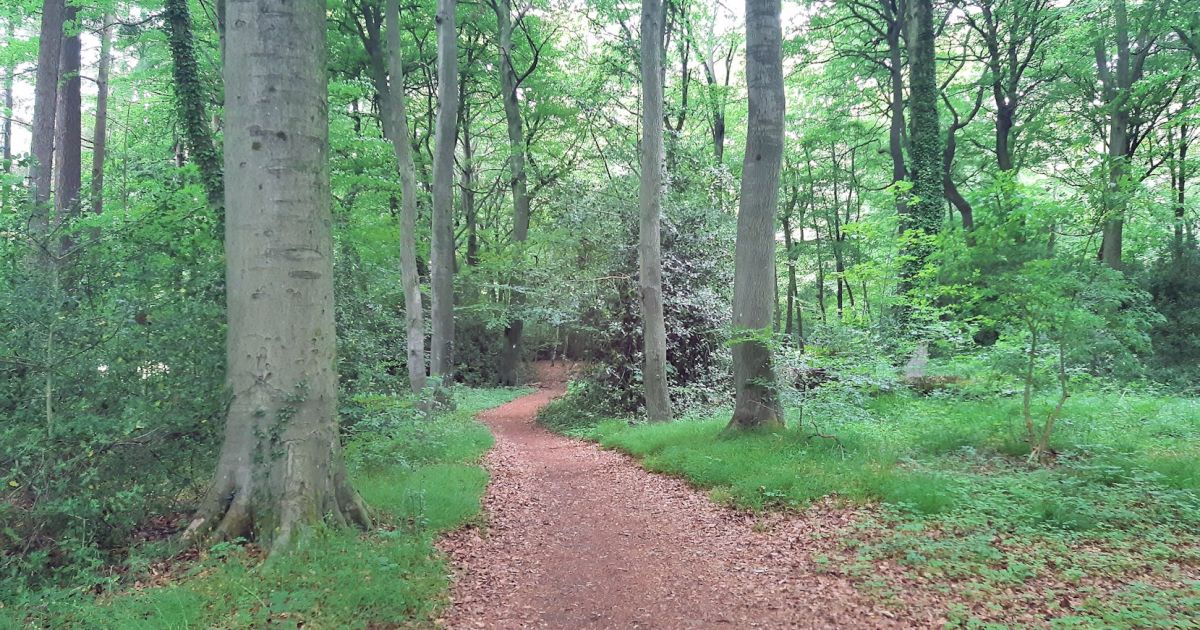 Circular walk North of Great Kingshill. - Ramblers