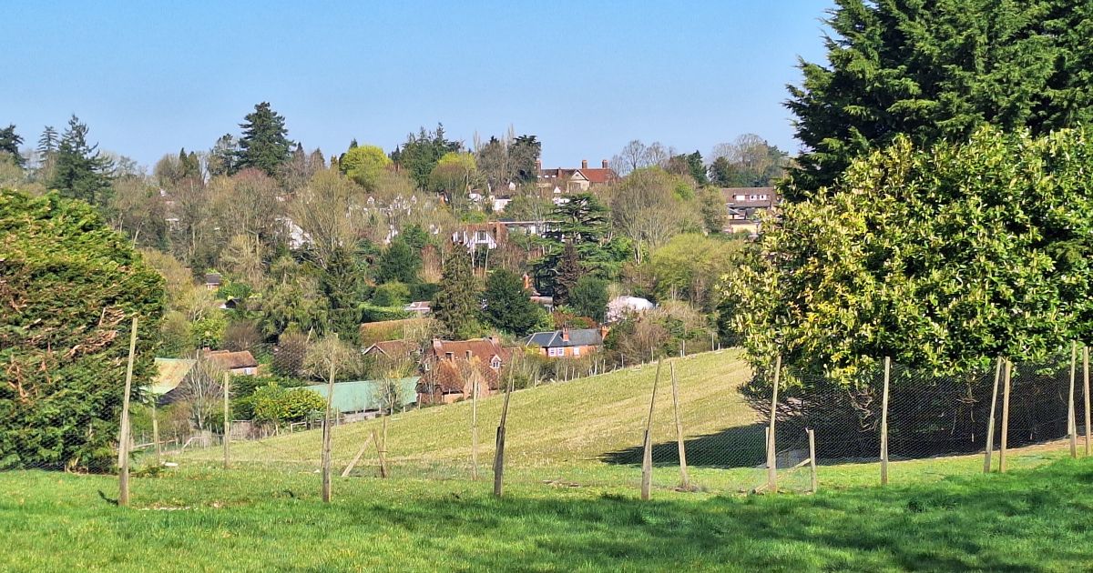 Cookham and Winter Hill - Ramblers