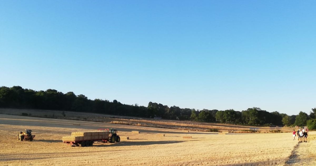 Steep Circular - Ramblers
