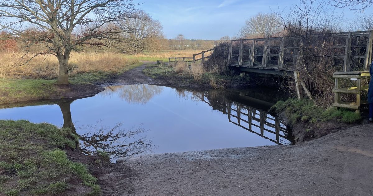 Easy Walk - Heather Farm & Horsell Common - Ramblers