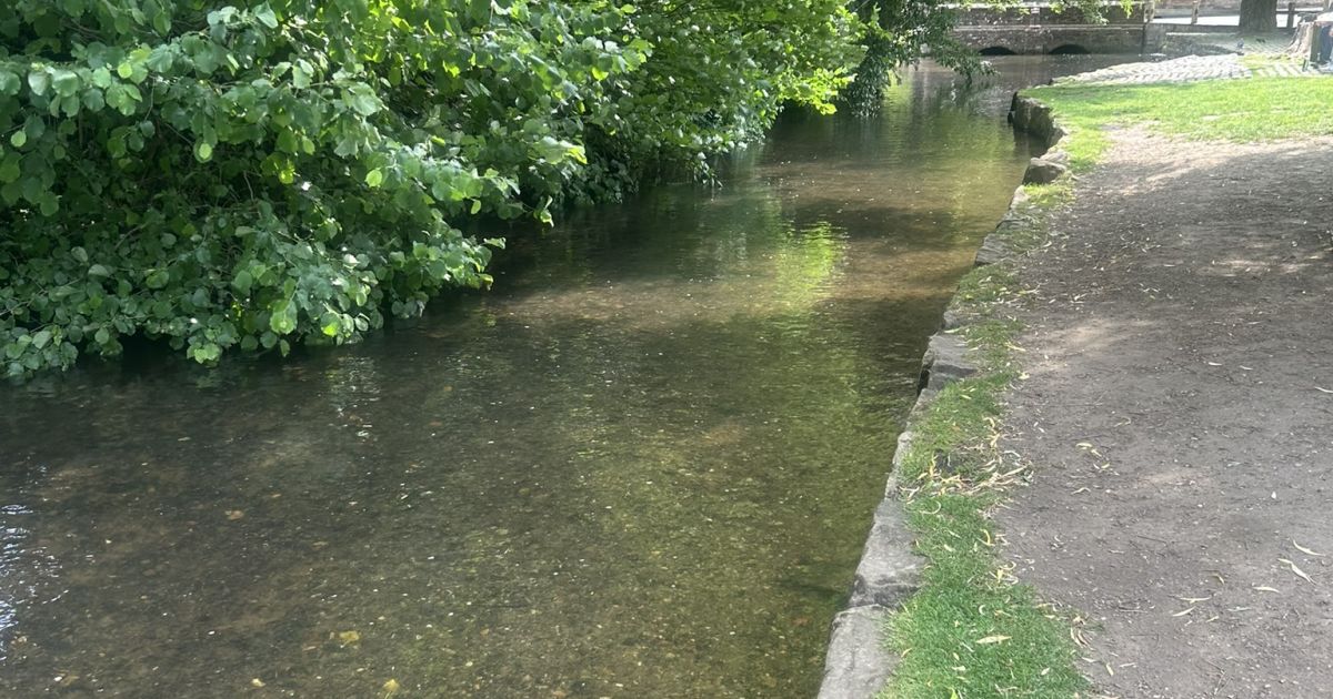 Newlands Corner Circular via Shere - Ramblers