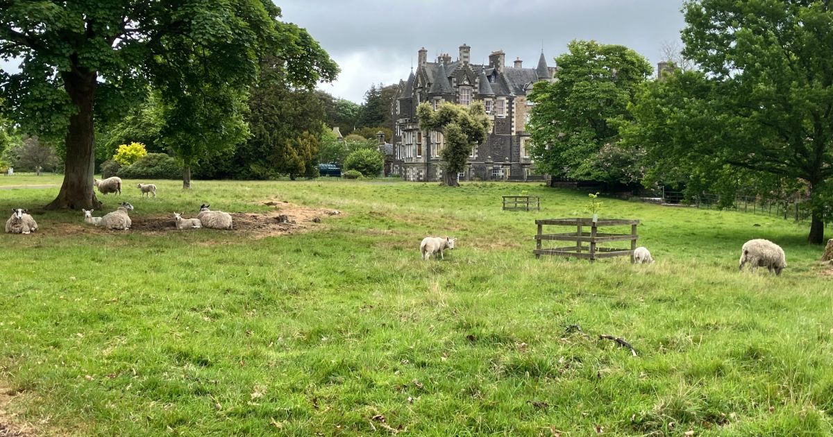 Balcarres and Charleton - Ramblers