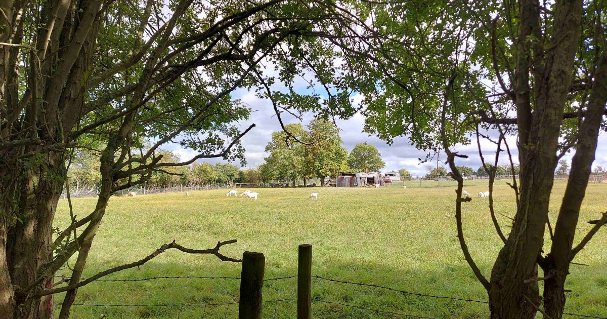 Toft circular - Ramblers