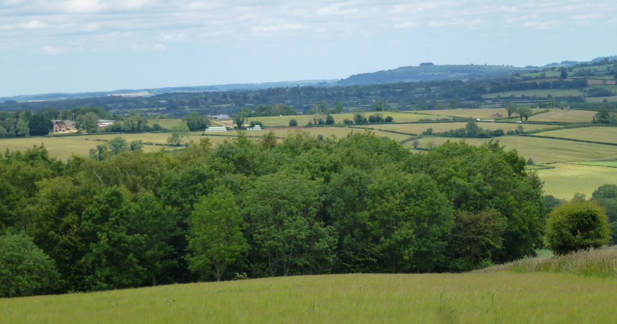 STOW - STAND AND DELIVER! - Ramblers