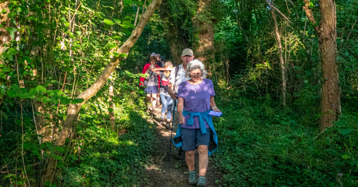 Shedfield Circular - Ramblers