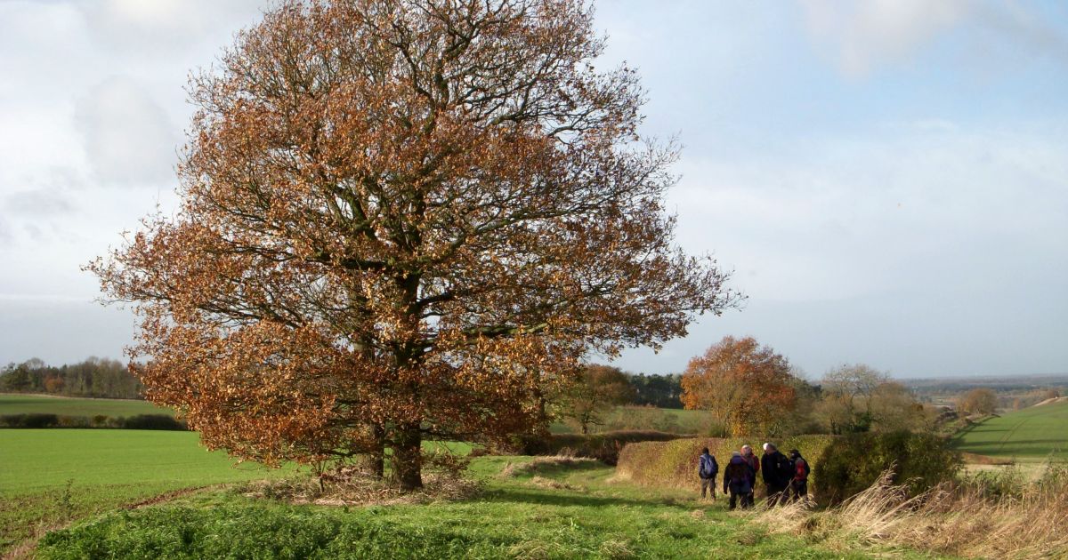Tuxford (Notts) - Ramblers