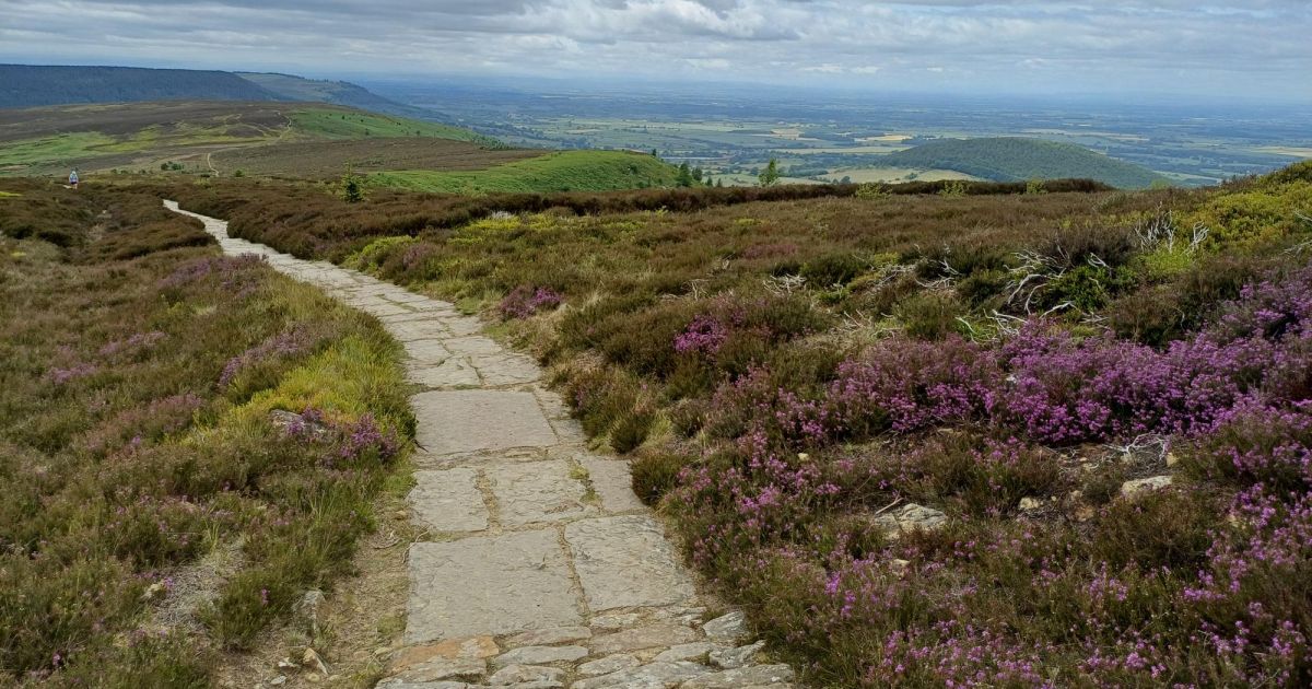 Cleveland Way section 8: Clay Bank to Osmotherley - Ramblers