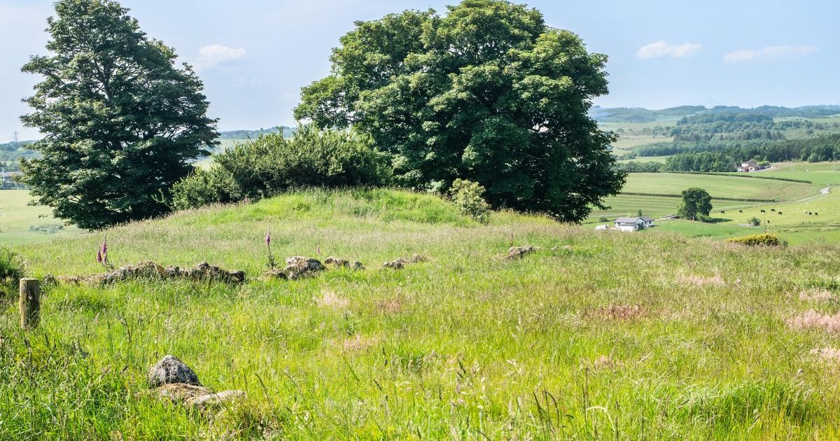 East of Lochore - Ramblers