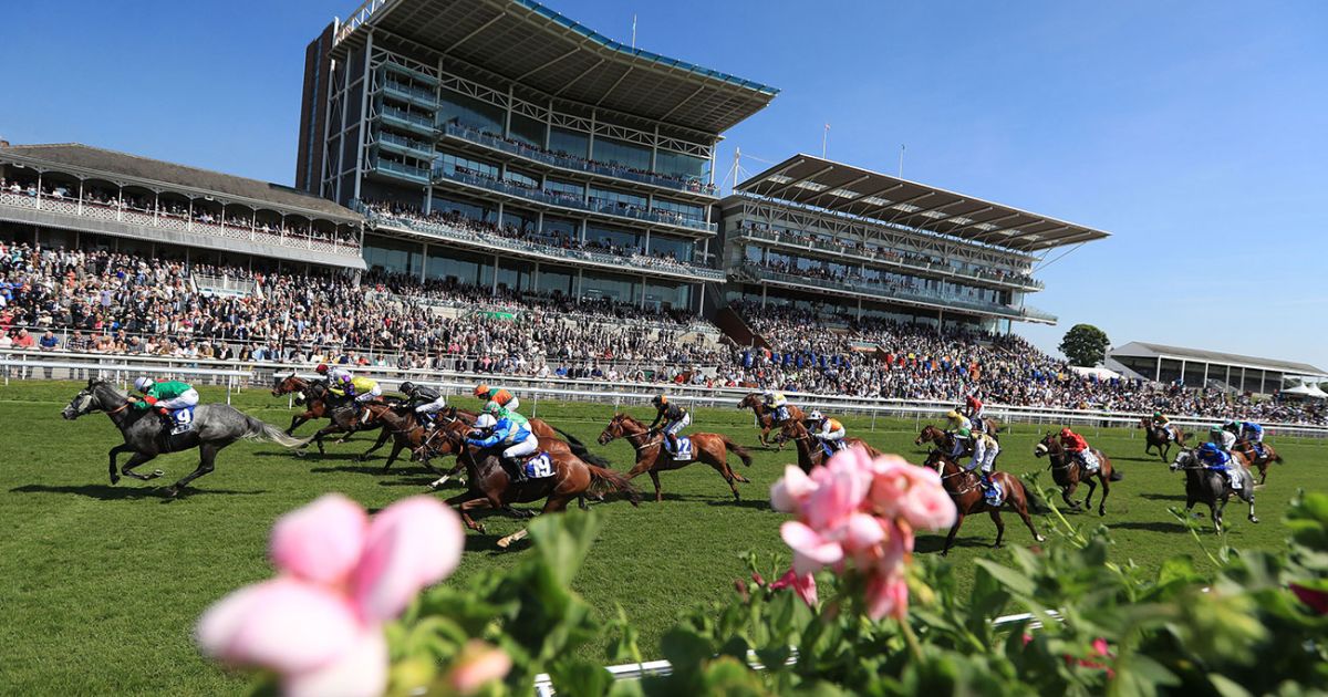 York Races and Olly Murs