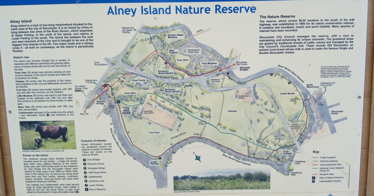 Alney Island Nature Reserve & Gloucester Boating Lake - Ramblers