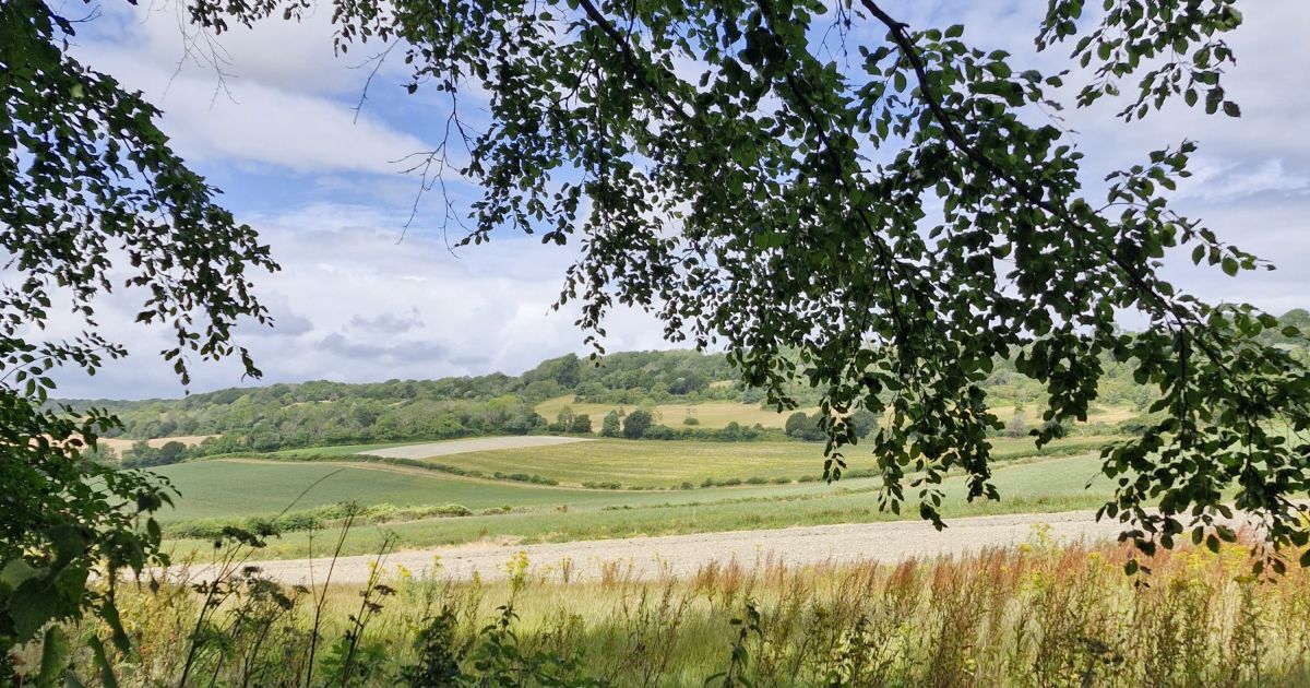 Newlands explorer - Ramblers