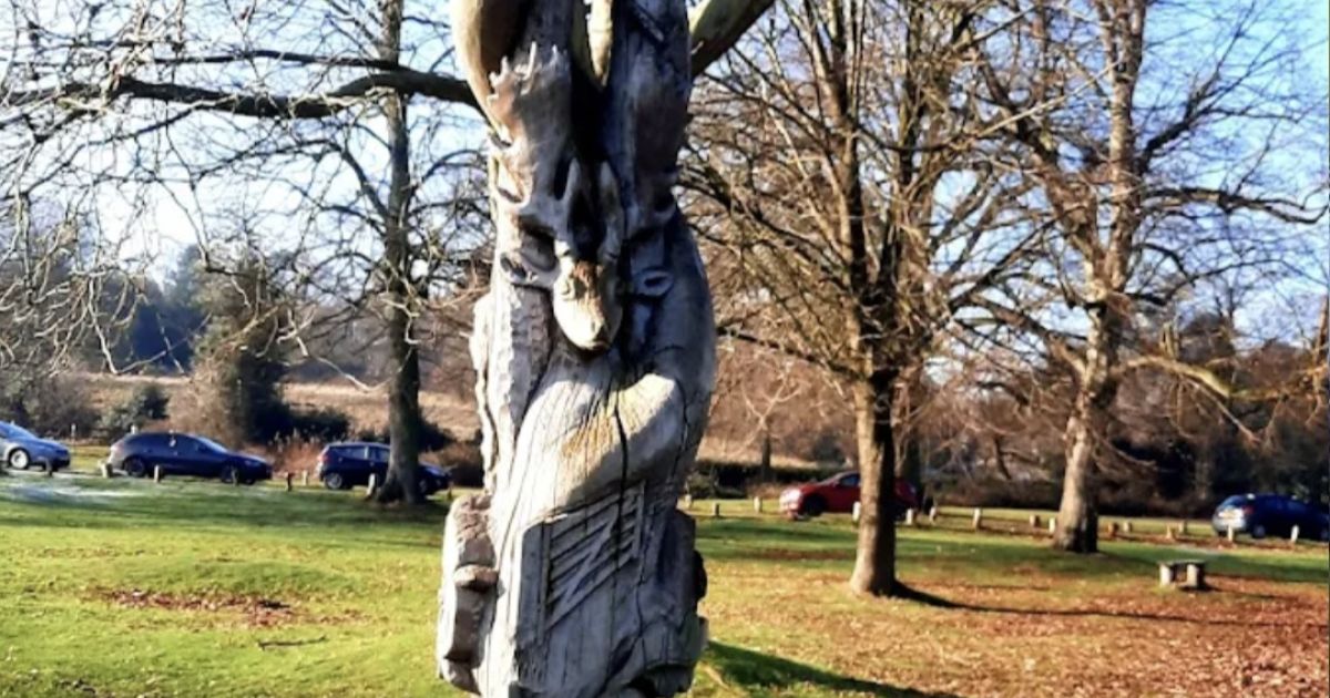 A Walk Around Sutton Park Part Two - Ramblers