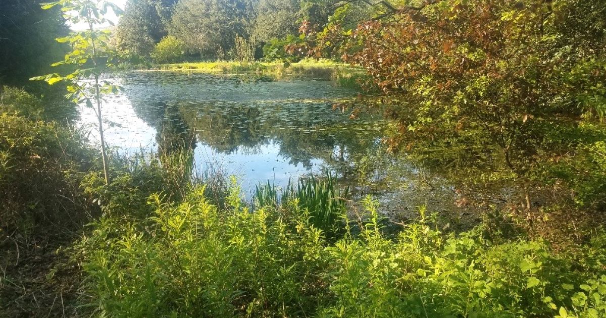 Marple circular - Ramblers