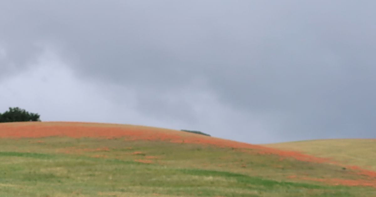 ROUND LOUTH WALK - Ramblers