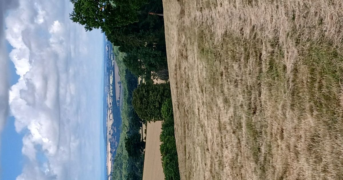 Much Wenlock/ Shropshire Way - Ramblers