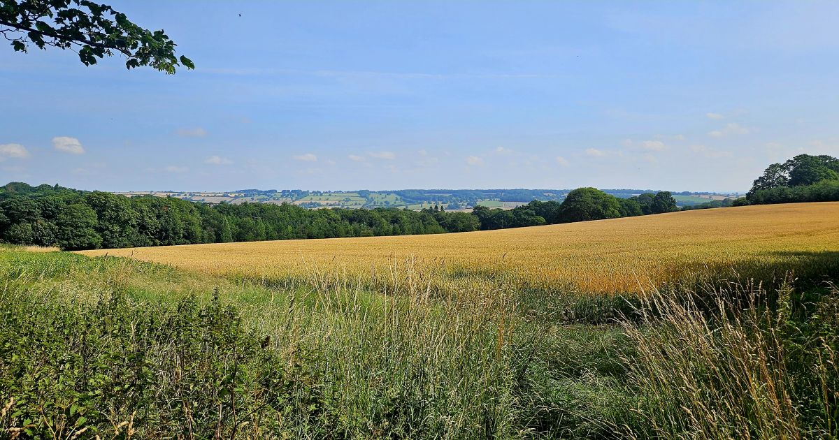West Gilling or Richmond - Ramblers