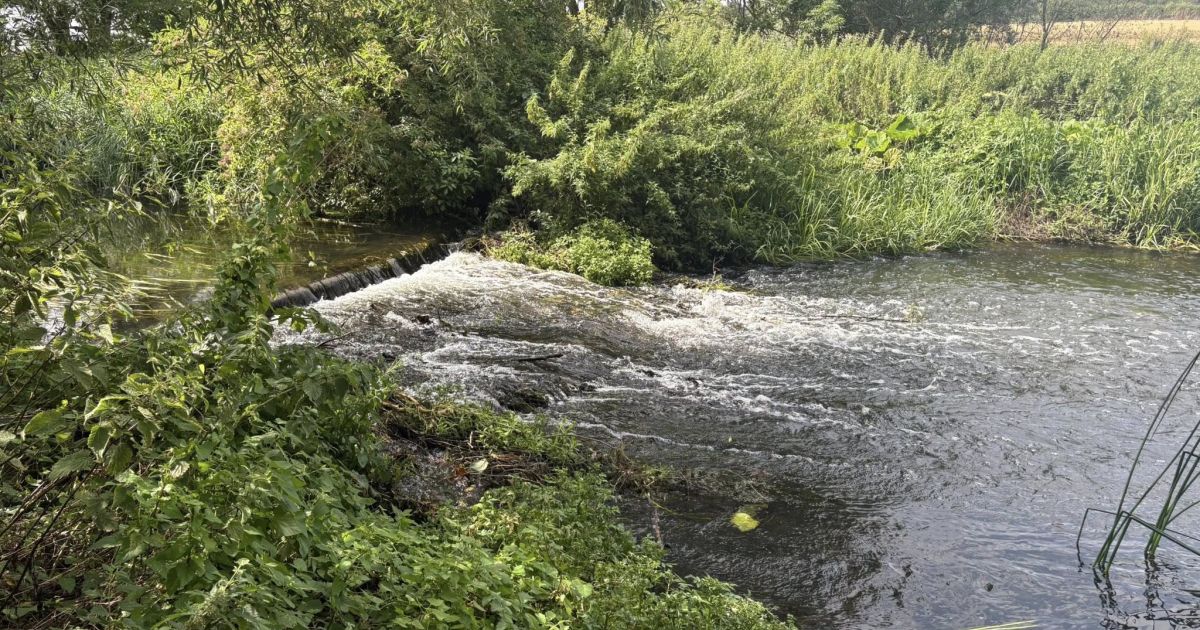 Evening Walk: The Candlestick Loop, Essendon (4 miles / 7km - Leisurely, Booking Required ...