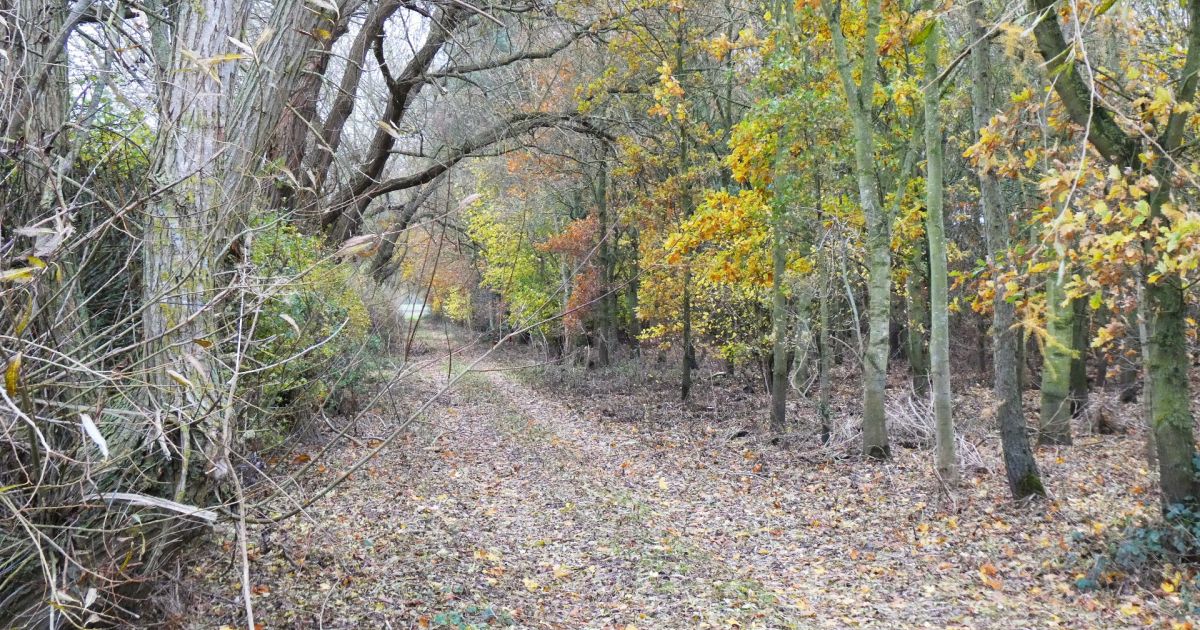 Bassingham - Ramblers