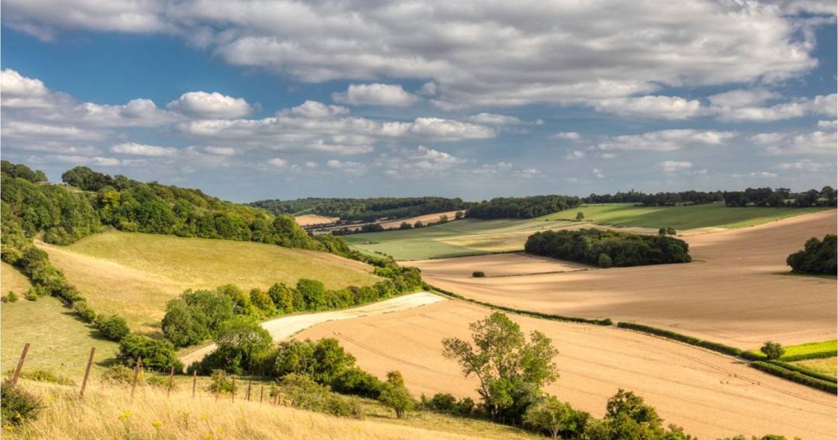 Bledlow Ridge - A Discovery Walk of Scenic Contrasts, Where Views Open ...