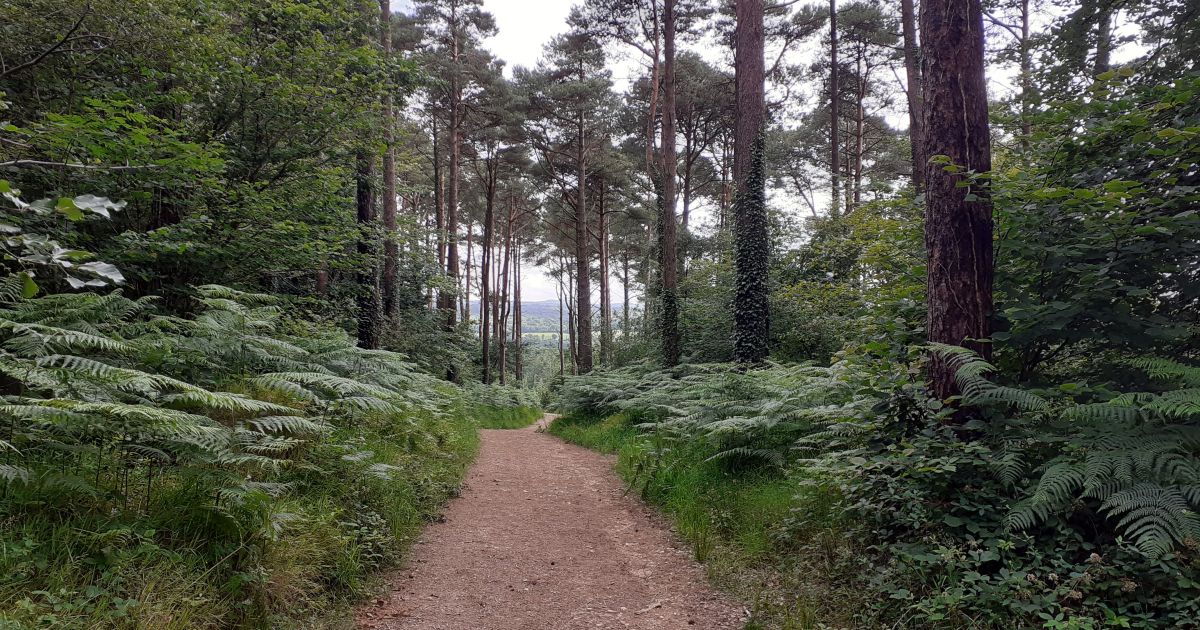 CARDINHAM WALK - Bookings required - All Welcome - Ramblers