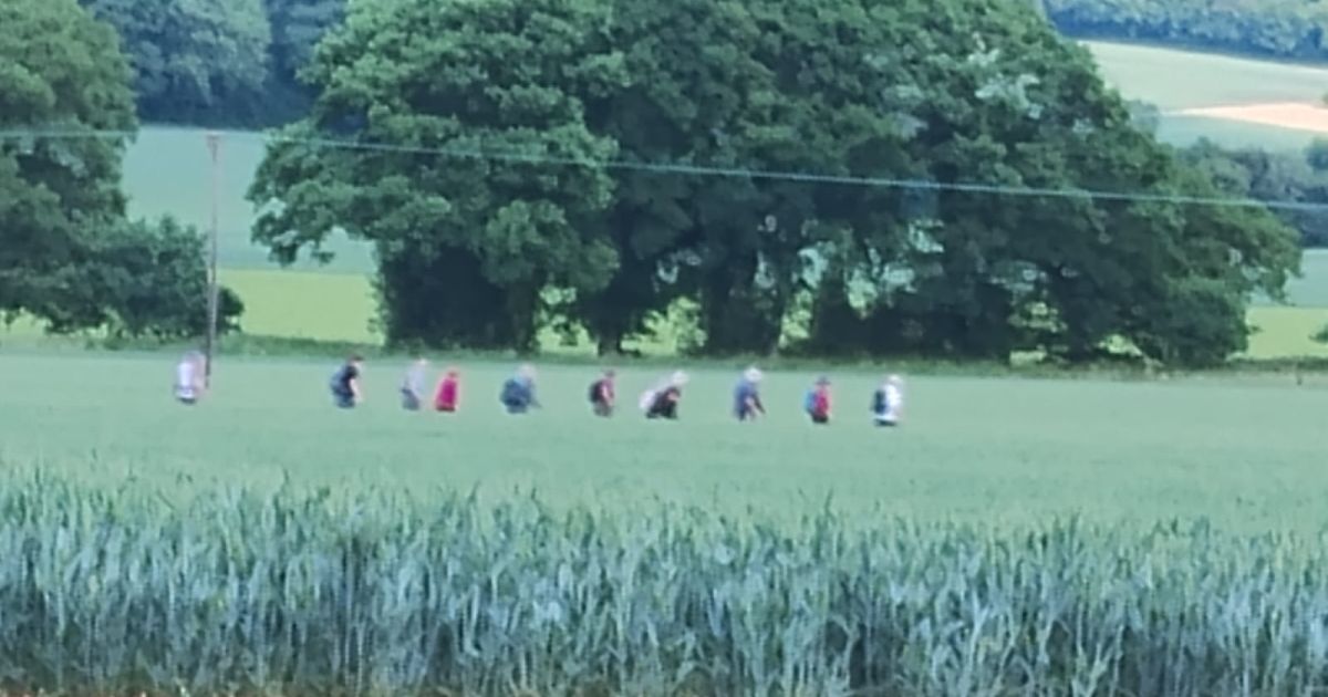 Cheriton circular - Ramblers