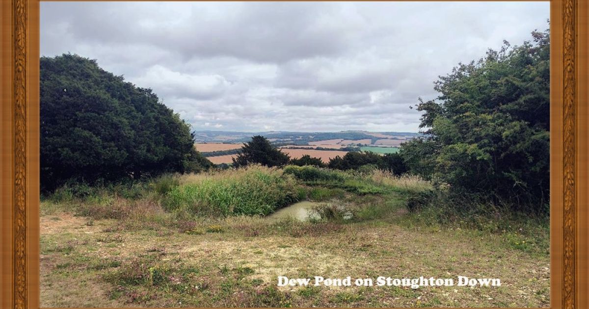 KINGLEY VALE NATIONAL NATURE RESERVE - Ramblers