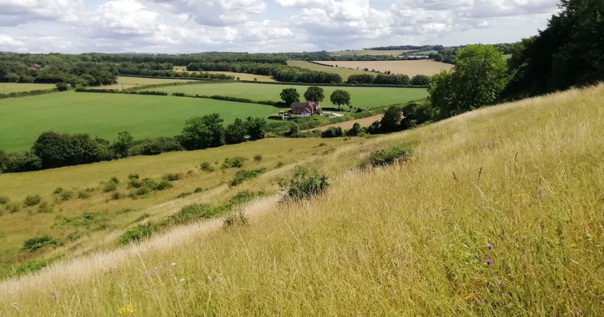 Droxford Fo8 walk NOW FULL - Ramblers