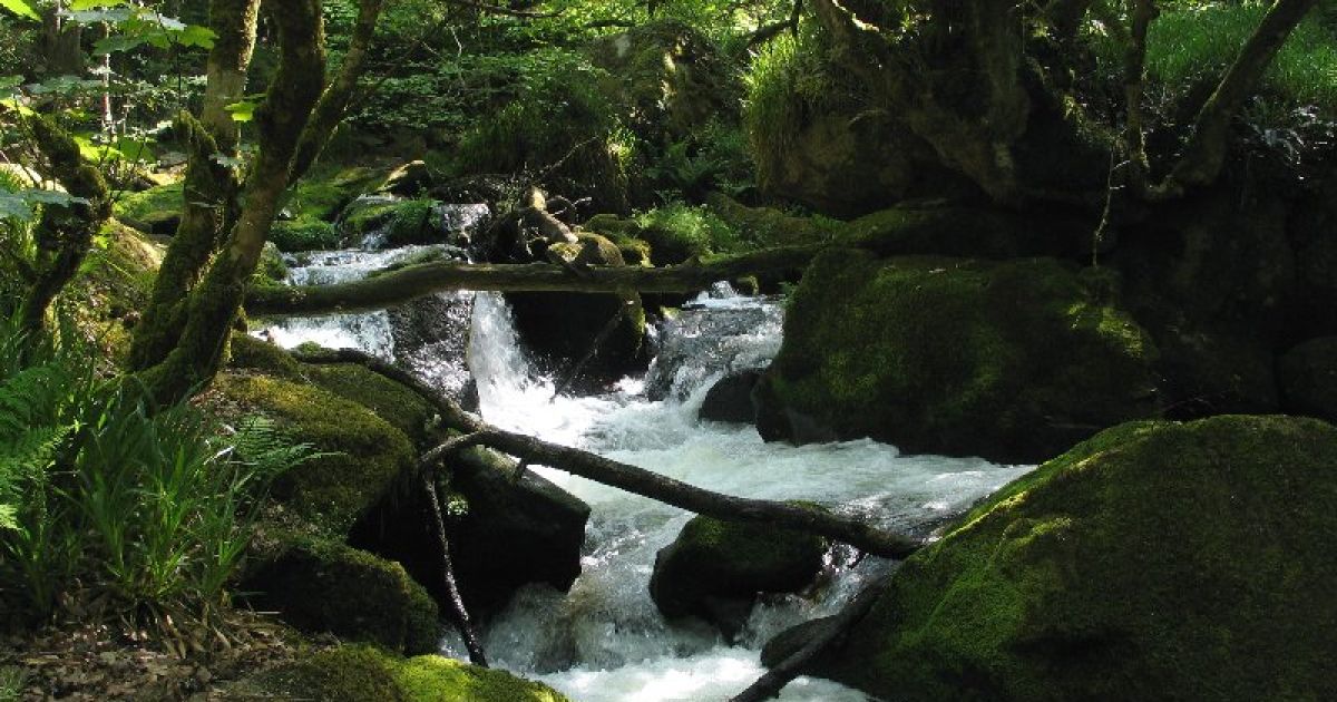 GOLITHA FALLS - Bookings Required - all welcome - Ramblers