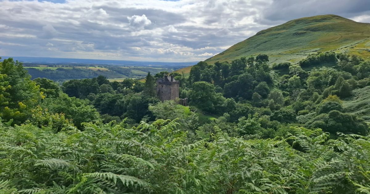 Ochils circular from Dollar - Ramblers