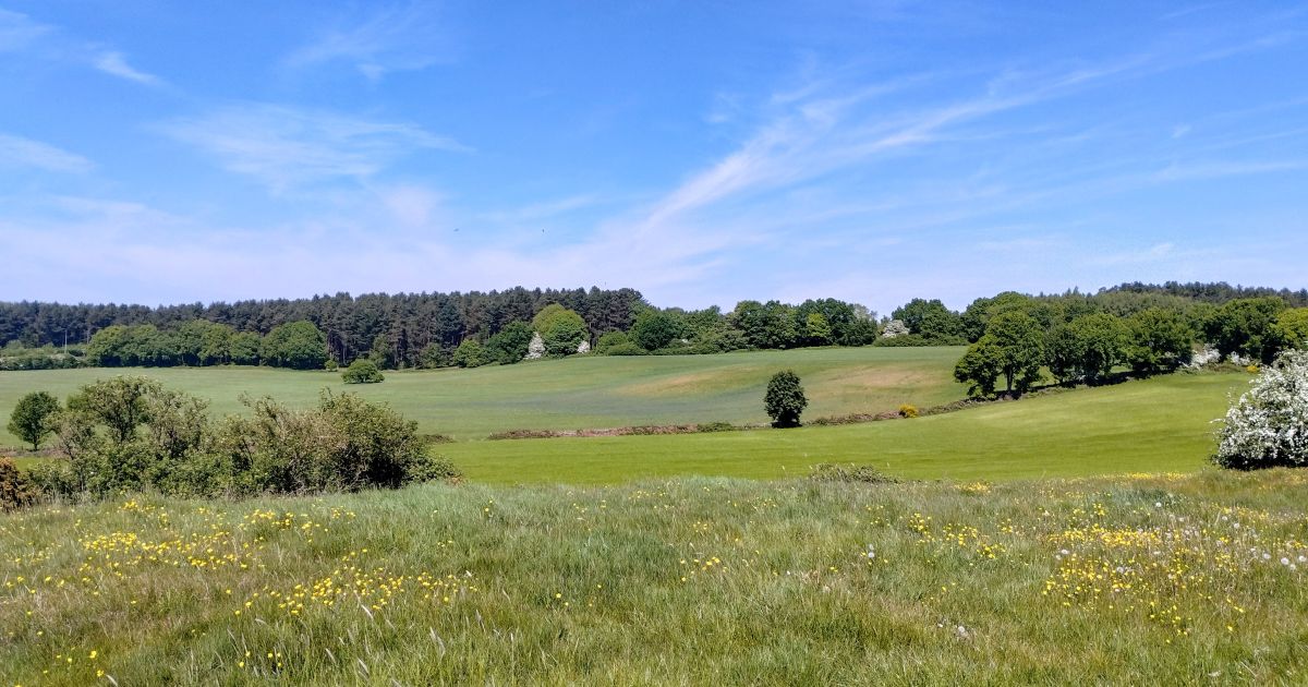 Misk Hills and Moorgreen Reservoir - Ramblers