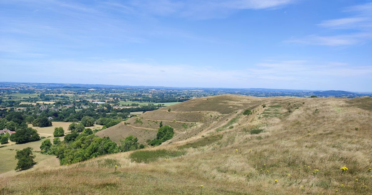 (09:45 Start) Hod Hill, Hambledon and Shillingston Hill Circular - Three Big Hills - Ramblers
