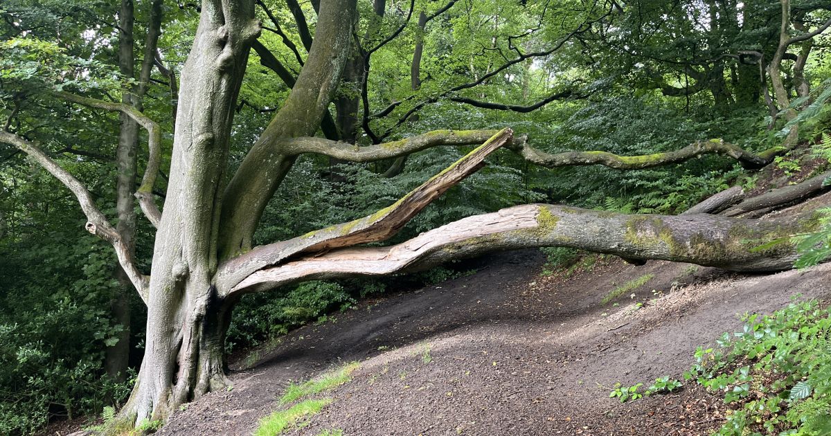 Beamers Trail, part of the Witton Weavers’ Way - Ramblers