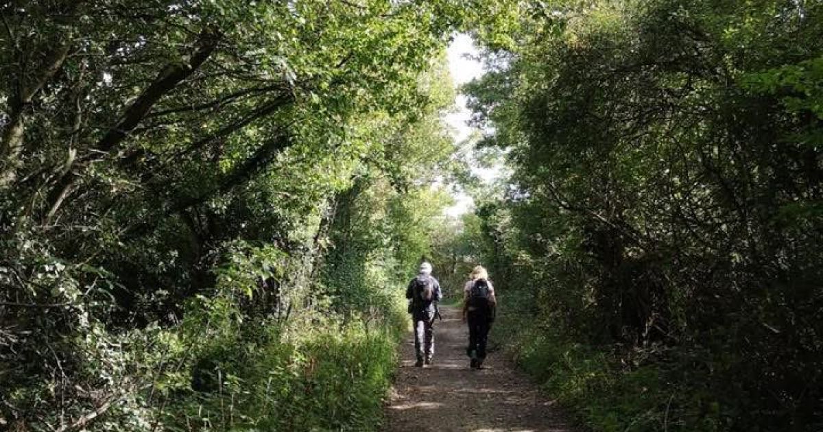 Circular Walk from Little Hadham Village Hall - Ramblers