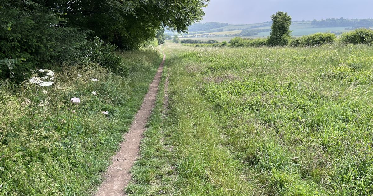 Pitton - Roman Road - Winterslow - Ramblers